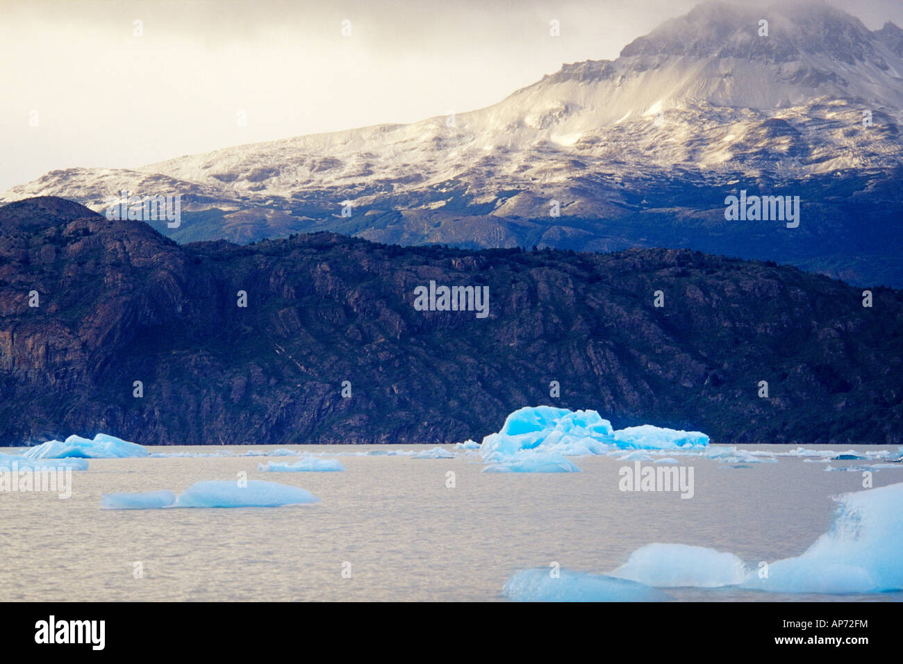 Lago ( Lake ) Grey or Gray with glacial icebergs, Torres del Paine ...