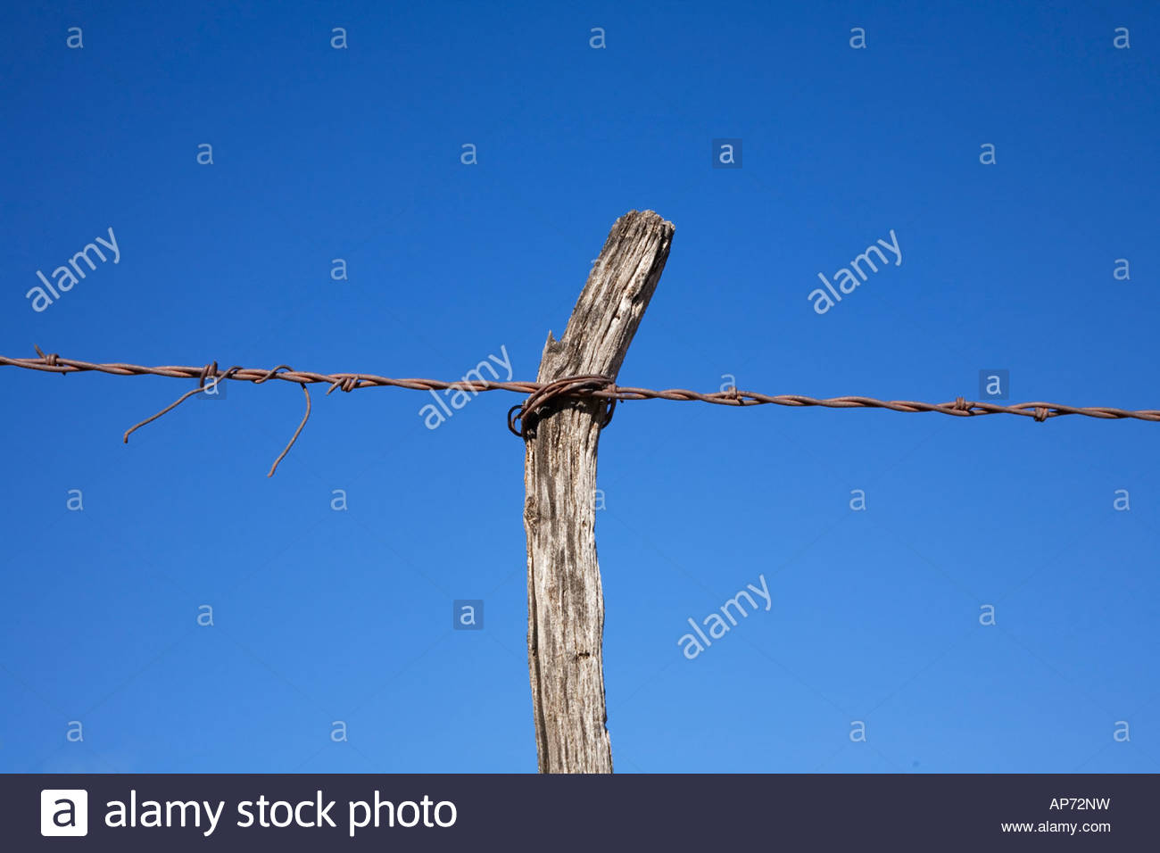 Weathered Old Wooden Fence Post With Barbed Wire High Resolution Stock ...