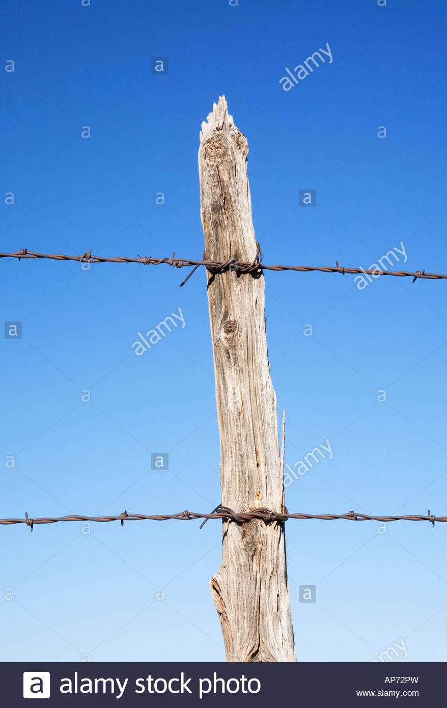 Weathered Old Wooden Fence Post With Barbed Wire High Resolution Stock ...