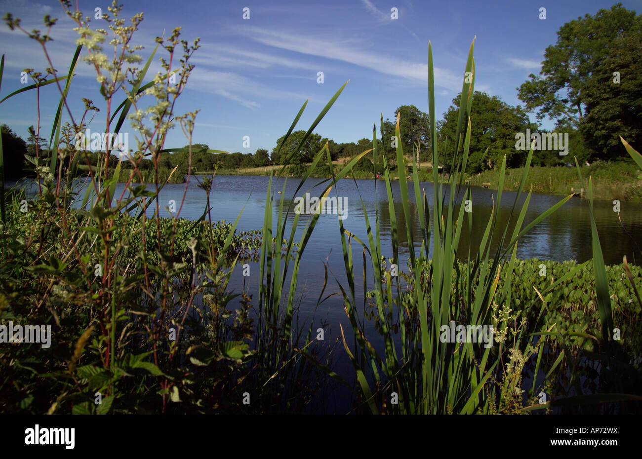 Lakeside land hi-res stock photography and images - Alamy
