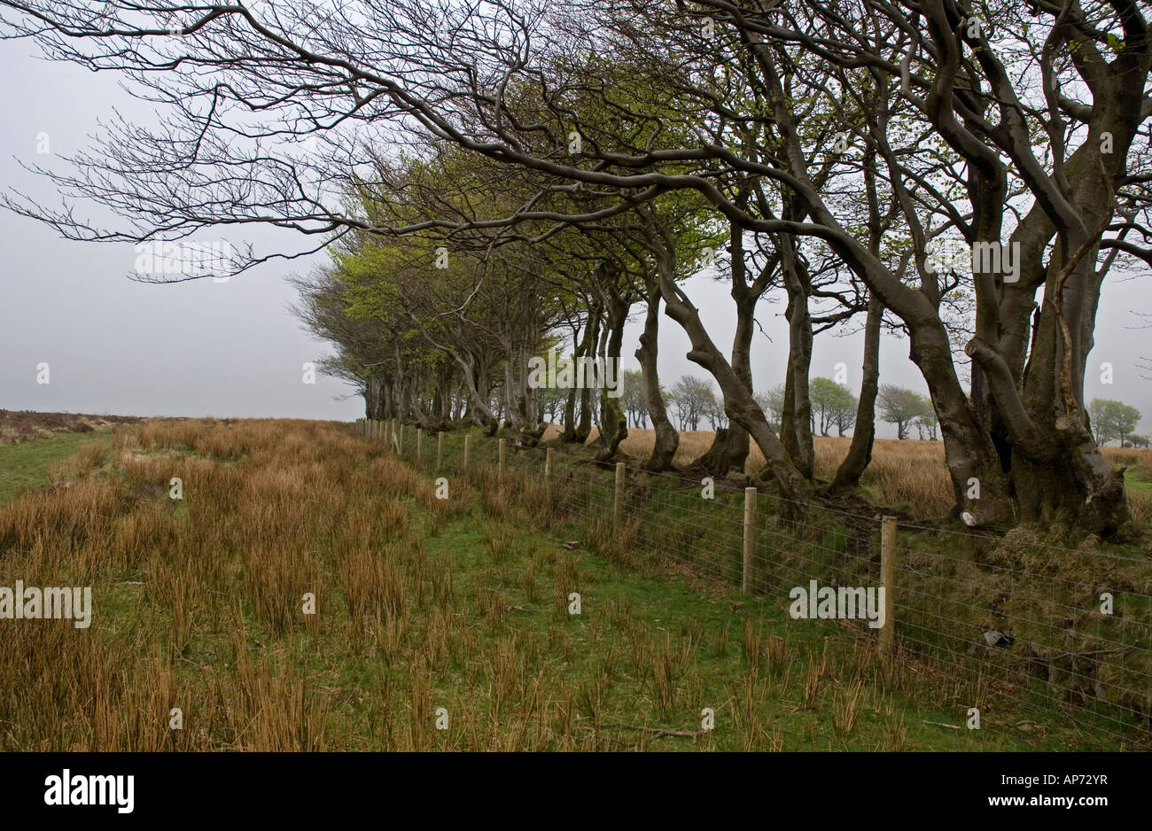 Devon somerset border hi-res stock photography and images - Alamy