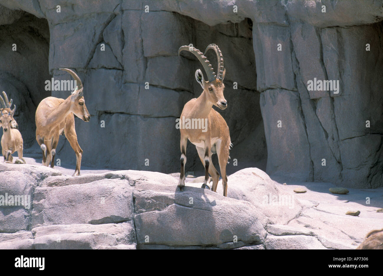 Arabia arabic hi-res stock photography and images - Alamy