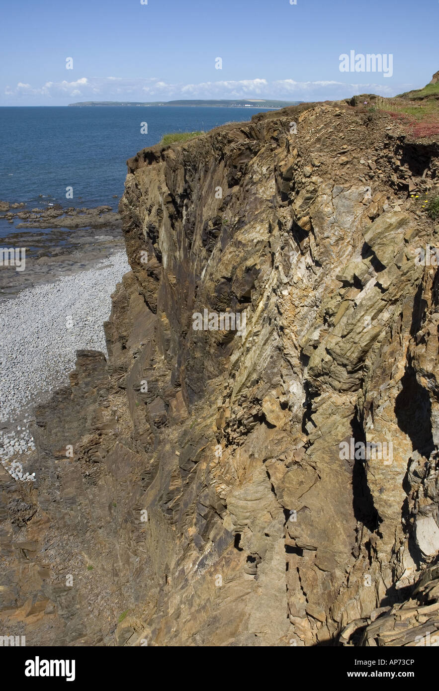 Abbotsham cliff hi-res stock photography and images - Alamy