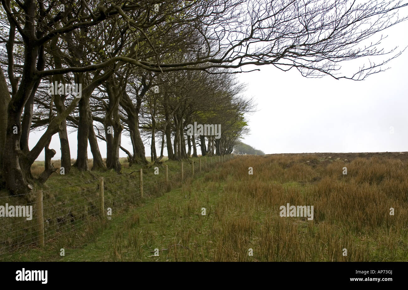 Devon somerset border hi-res stock photography and images - Alamy