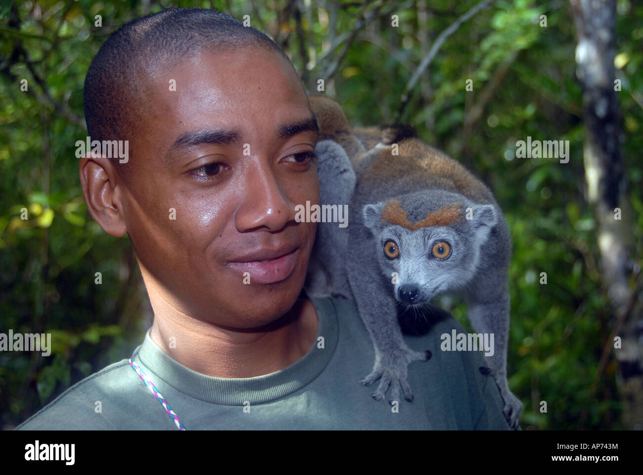 Guide with lemur on his shoulder, Palmarium Private Reserve, Lake ...