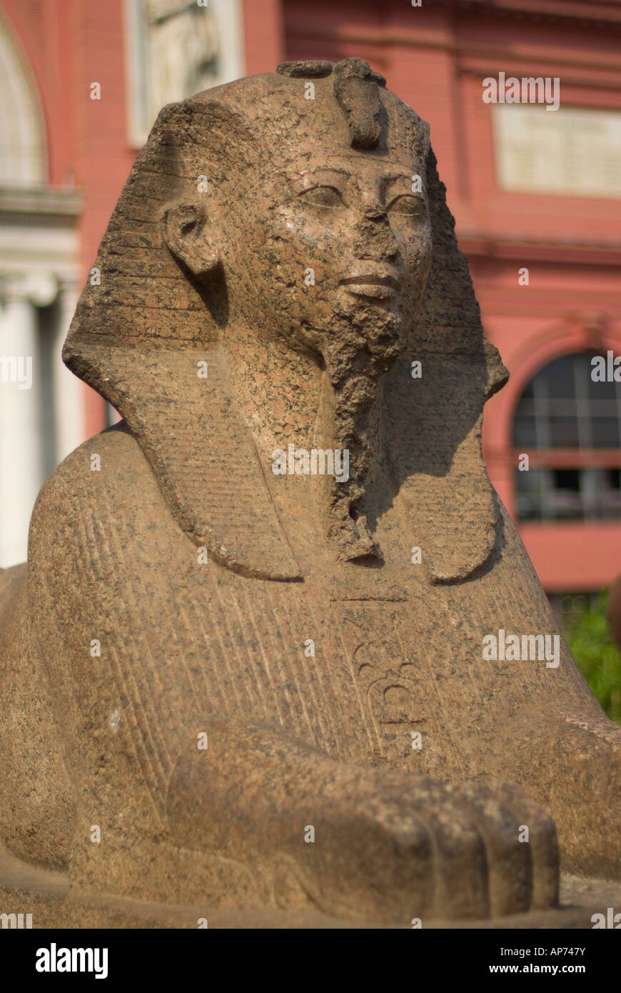 Sphinx outside The Egyptian Antiquities Museum, Cairo Stock Photo - Alamy