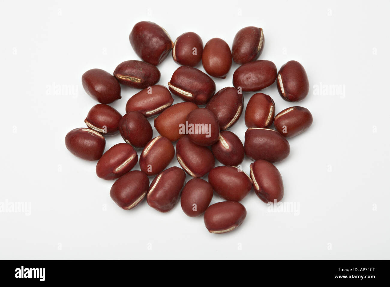 Azuki bean adzuki bean vigna angularis hi-res stock photography and ...