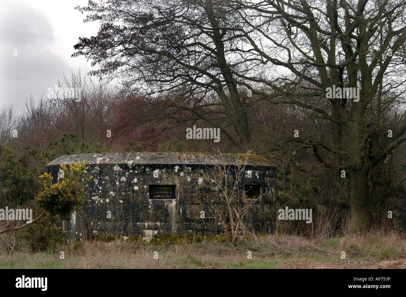 WWII Pill Box Stock Photo - Alamy