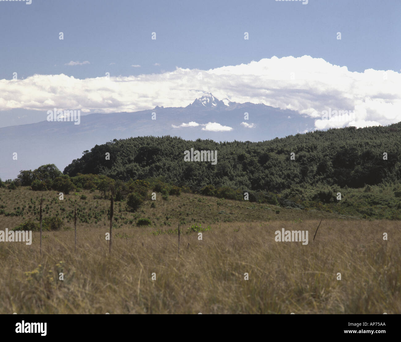 Mount Kenya view from Aberdares National Park highland field with ...