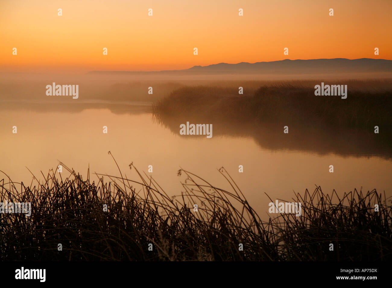 Dawn, Lower Klamath Basin National Wildlife Refuge in autumn ( fall ...