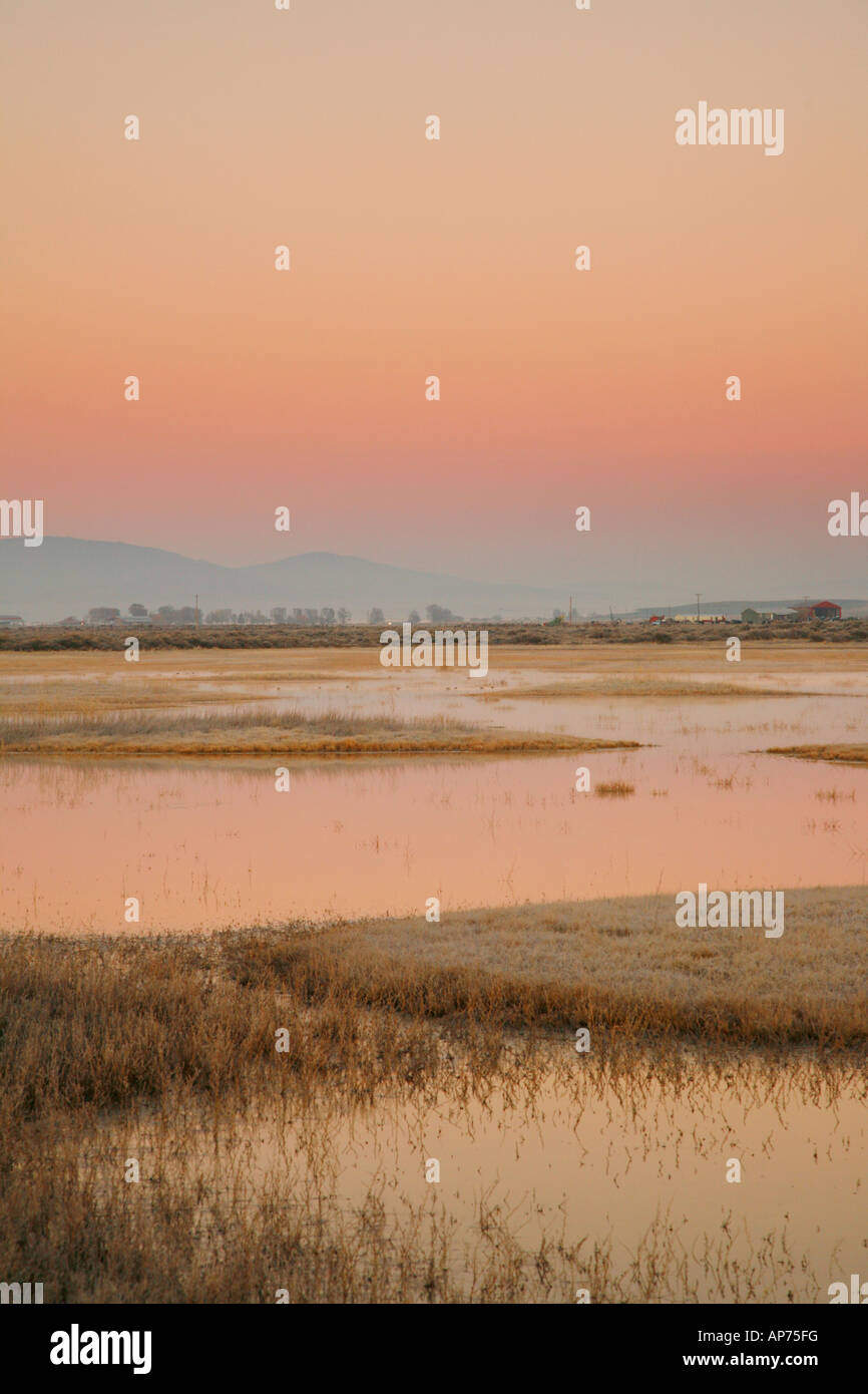 Dawn, Lower Klamath Basin National Wildlife Refuge in autumn ( fall ...