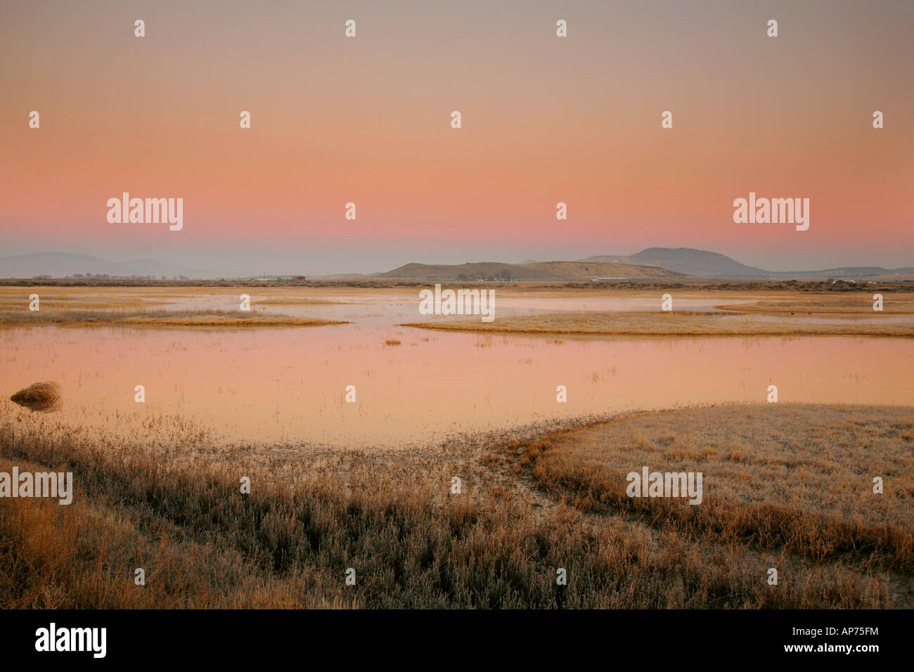 Dawn, Lower Klamath Basin National Wildlife Refuge in autumn ( fall ...