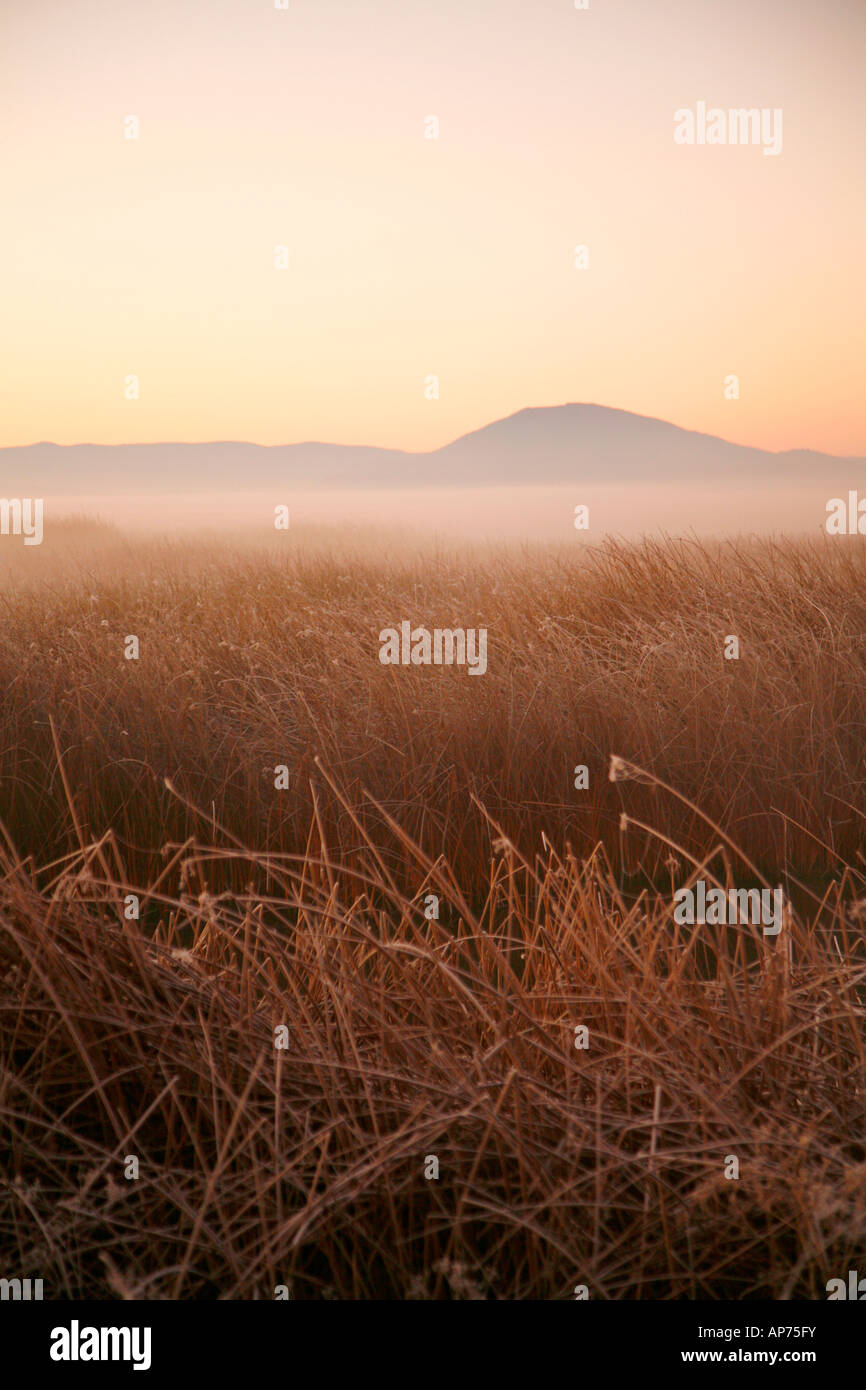 Dawn, Lower Klamath Basin National Wildlife Refuge in autumn ( fall ...