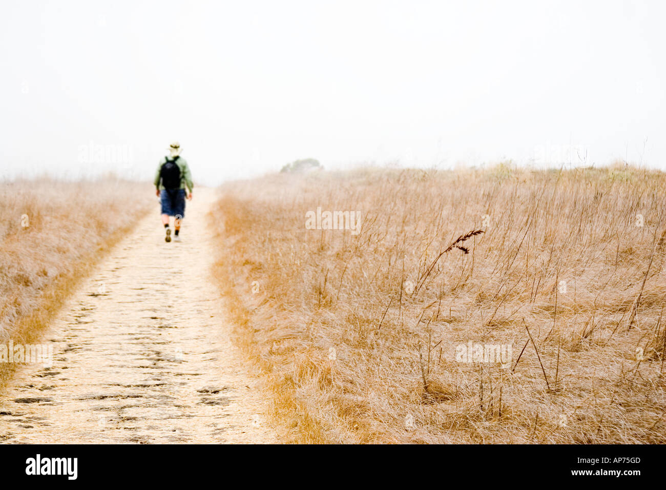 Walking down a path Stock Photo - Alamy