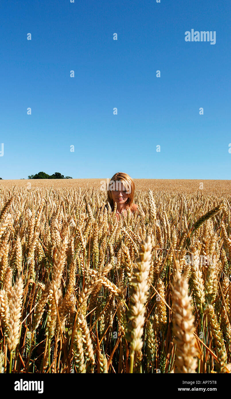 Girl in the cornfield hi-res stock photography and images - Alamy