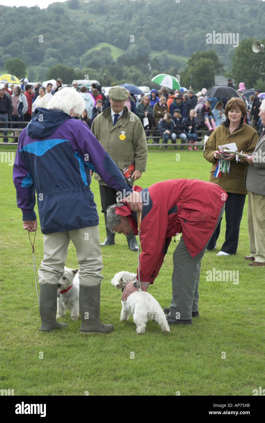 Westmoreland show hi-res stock photography and images - Alamy