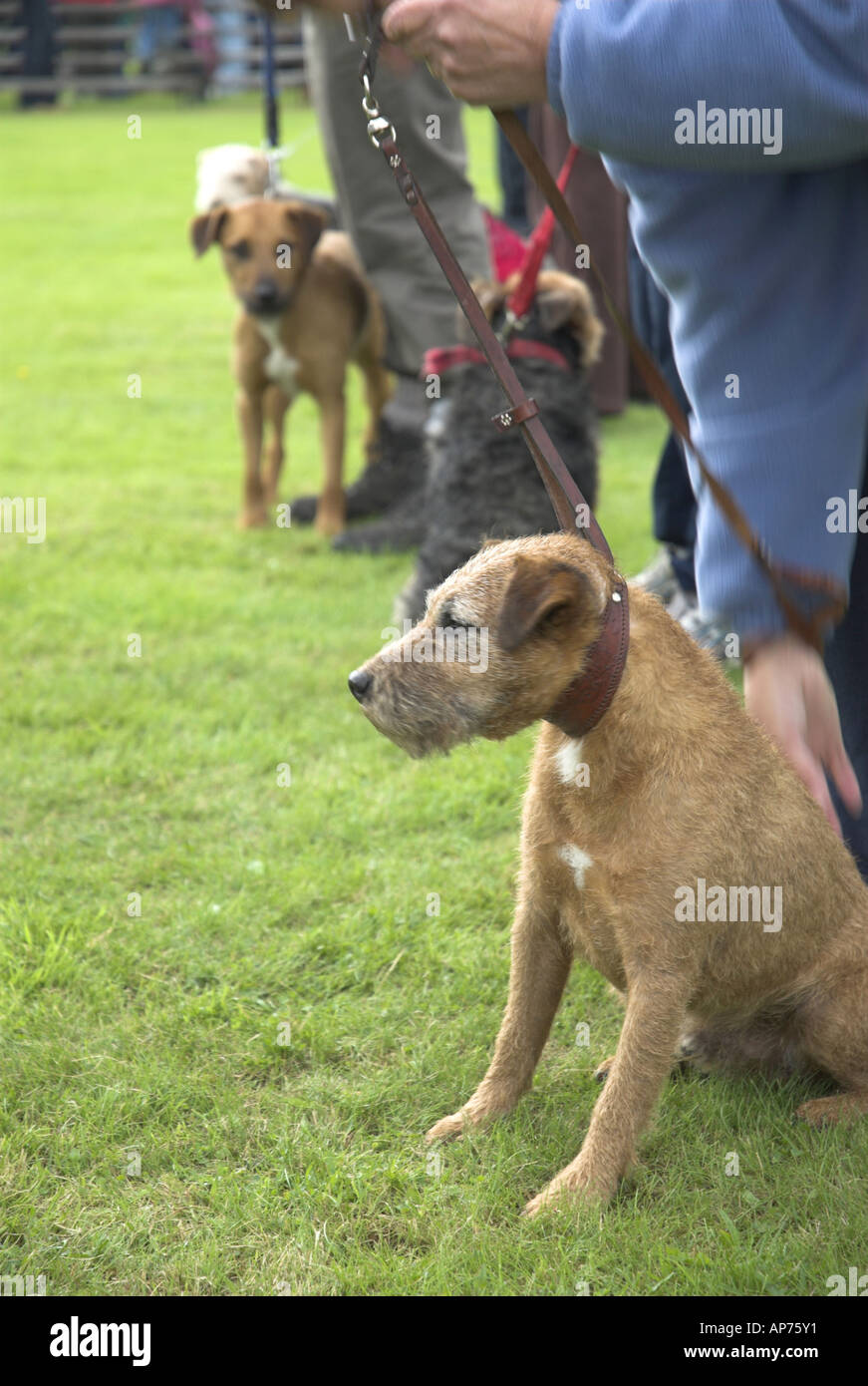 Grasmere show hi-res stock photography and images - Alamy