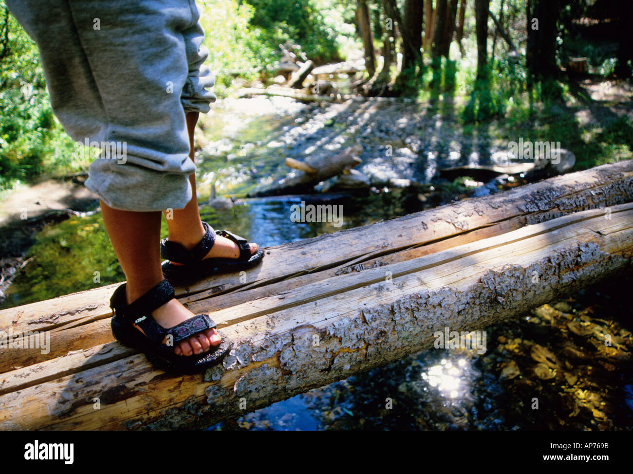 hiking across a log bridge over a river Stock Photo - Alamy