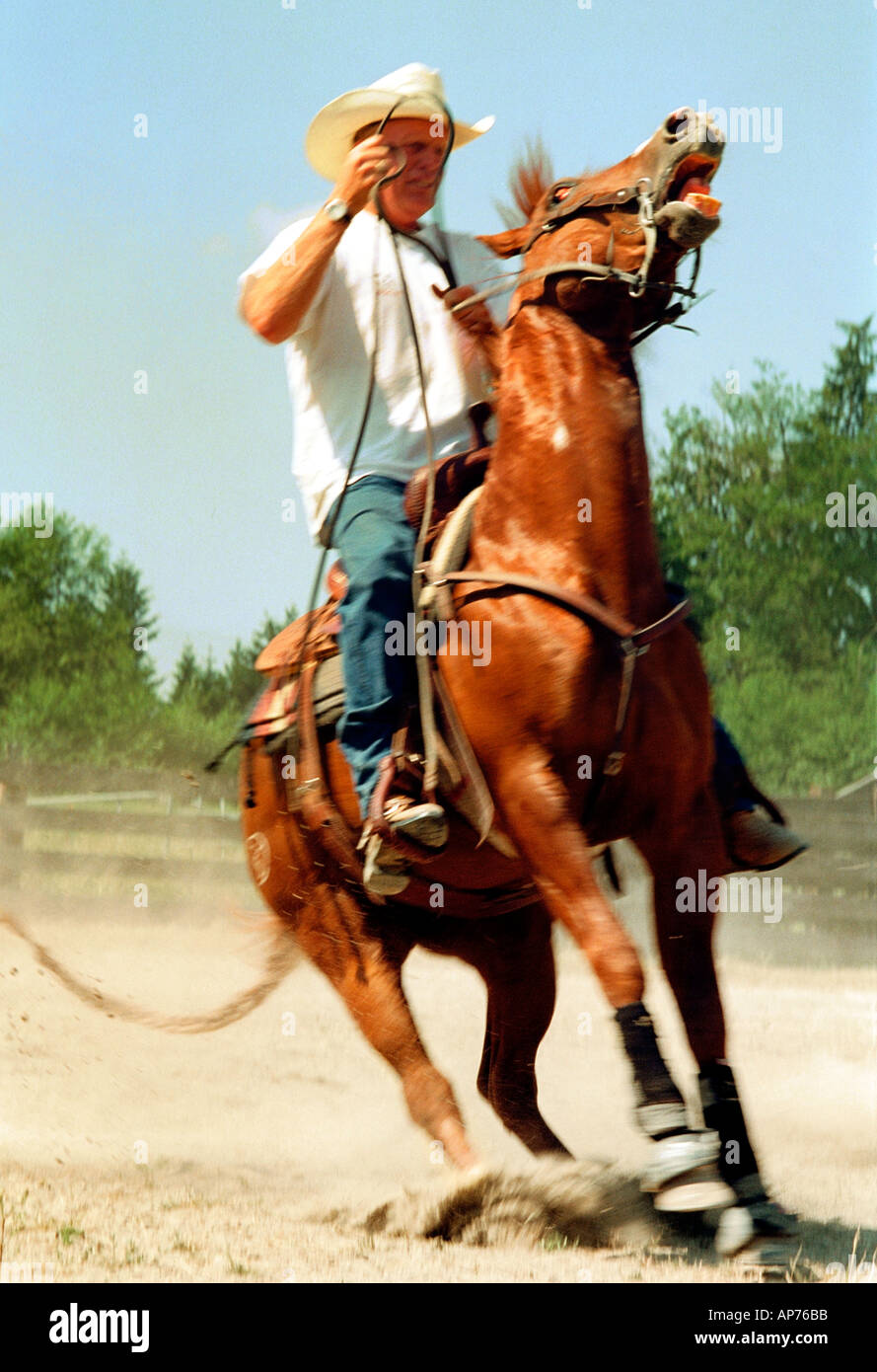 Cowboy on horseback reining in a horse Stock Photo - Alamy