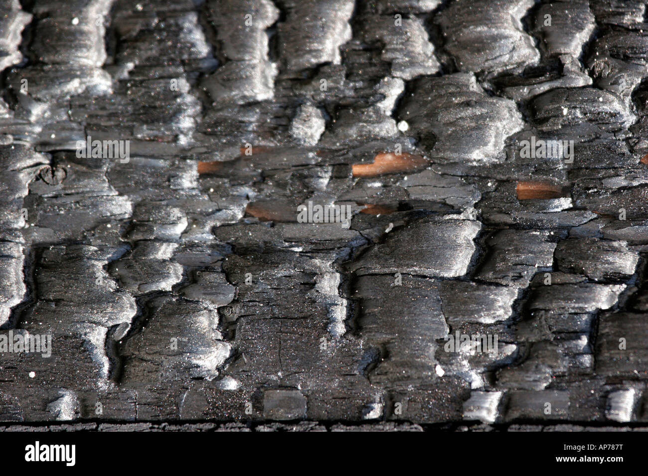 Burnt wood fibers and ash showing fire damage Stock Photo - Alamy
