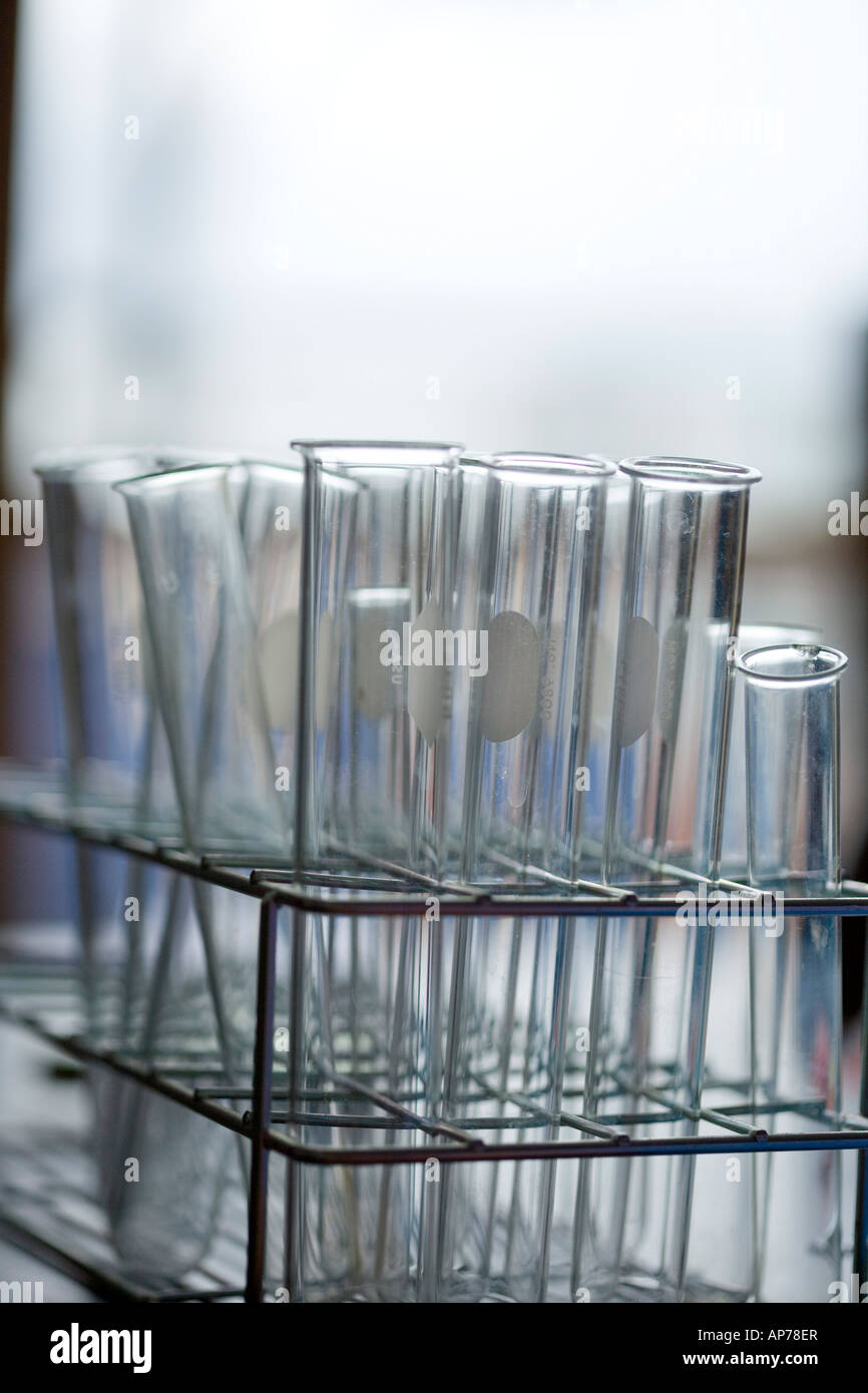 test tubes in rack in biotech laboratory or school science class Stock ...
