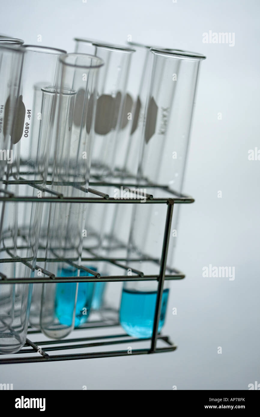 test tubes in rack hold blue solution in biotech laboratory or school ...