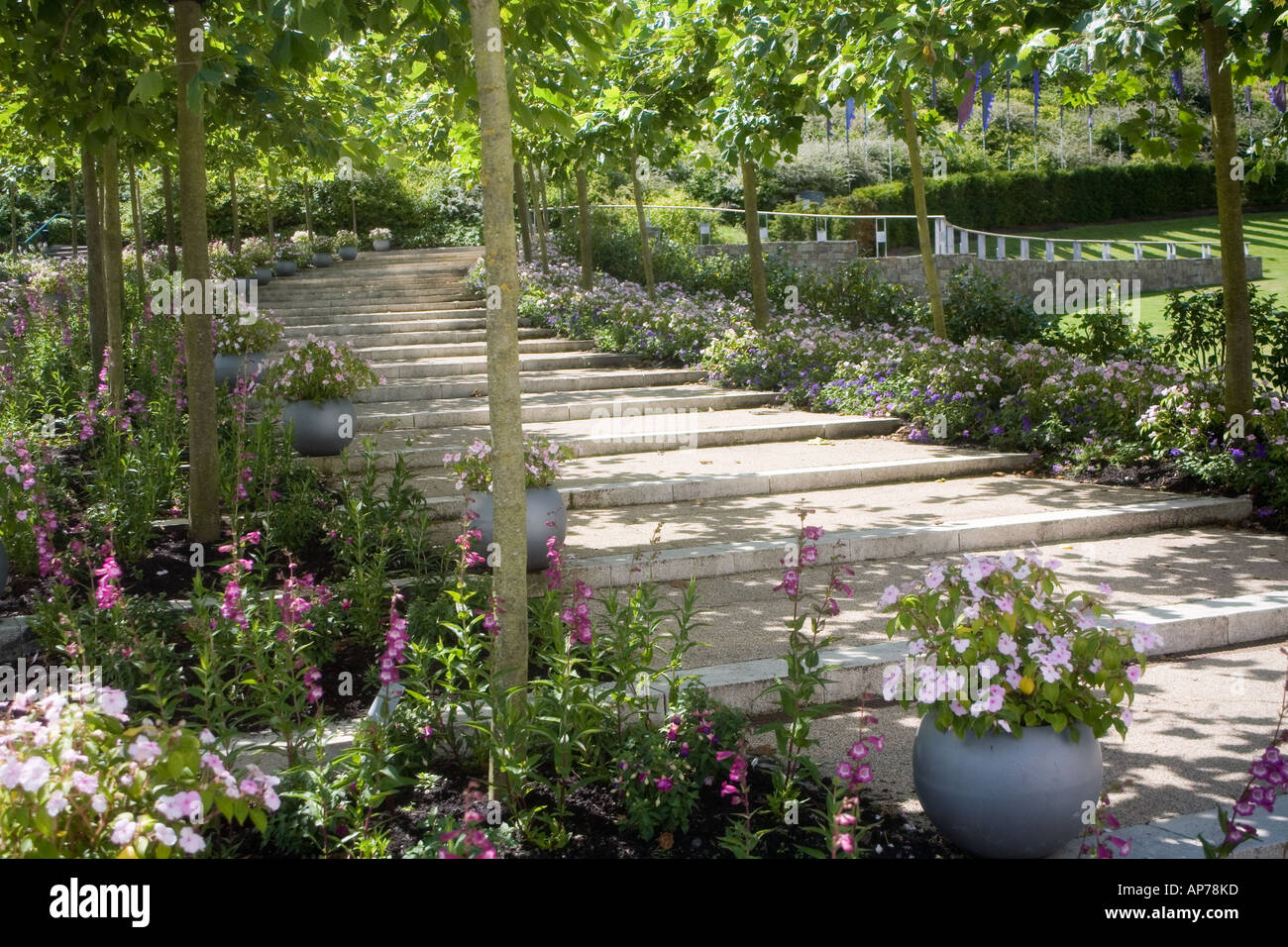 Tree lined walkway Stock Photo - Alamy