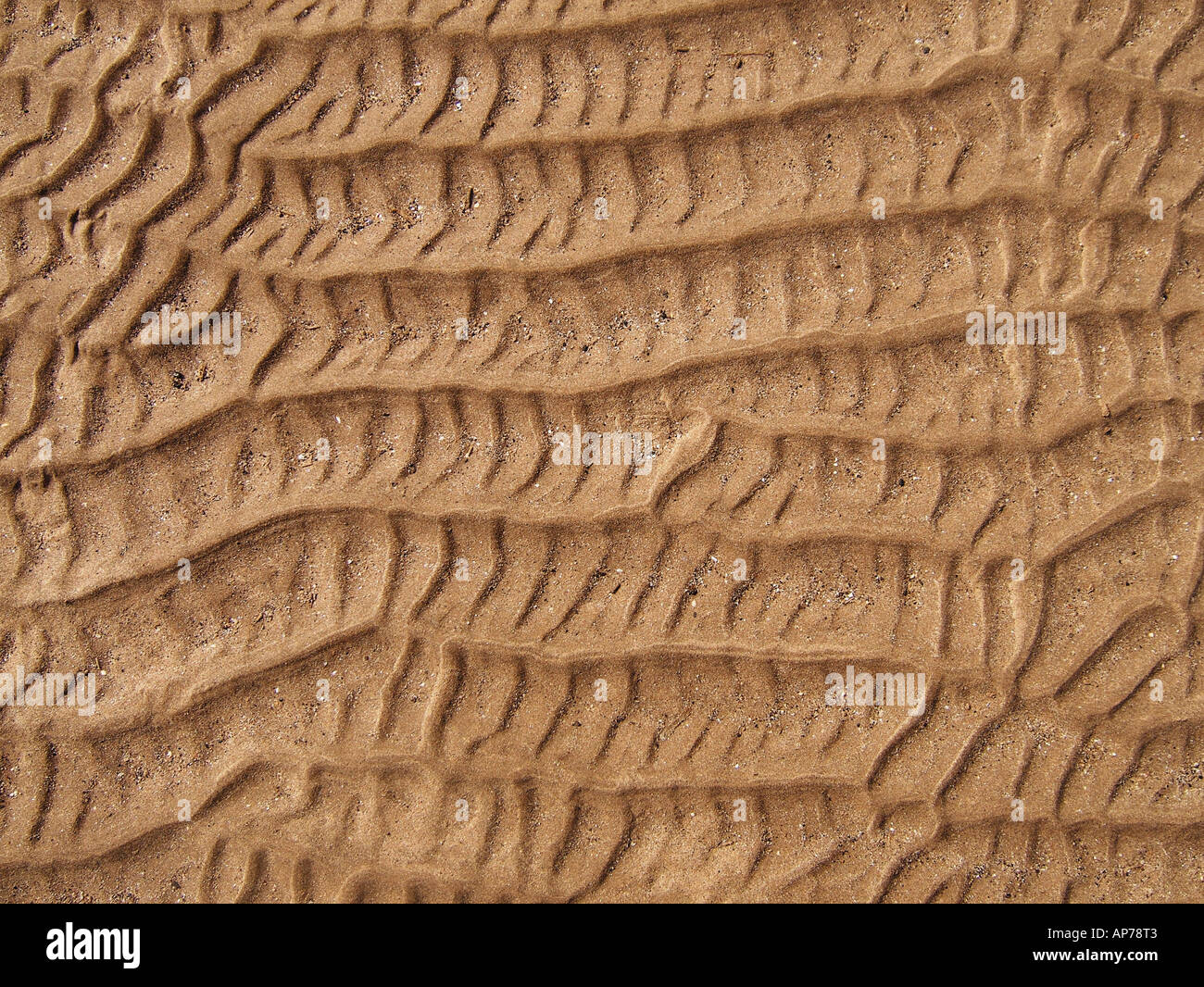 Ridge patterns on the beach at Fraisthorpe made by the tidal currents ...