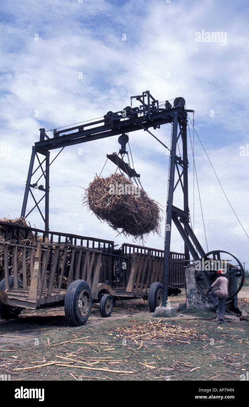 Overhead crane loading sugarcane into wagons, Barahona, Dominican ...