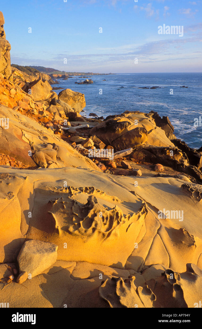 Salt point state park hi-res stock photography and images - Alamy