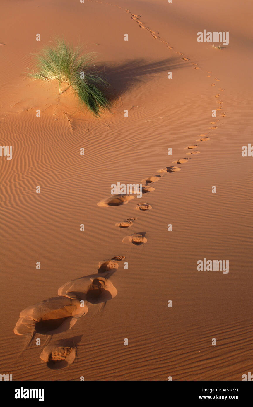 Human footsteps in the sand in the Sahara Desert Morocco Stock Photo ...