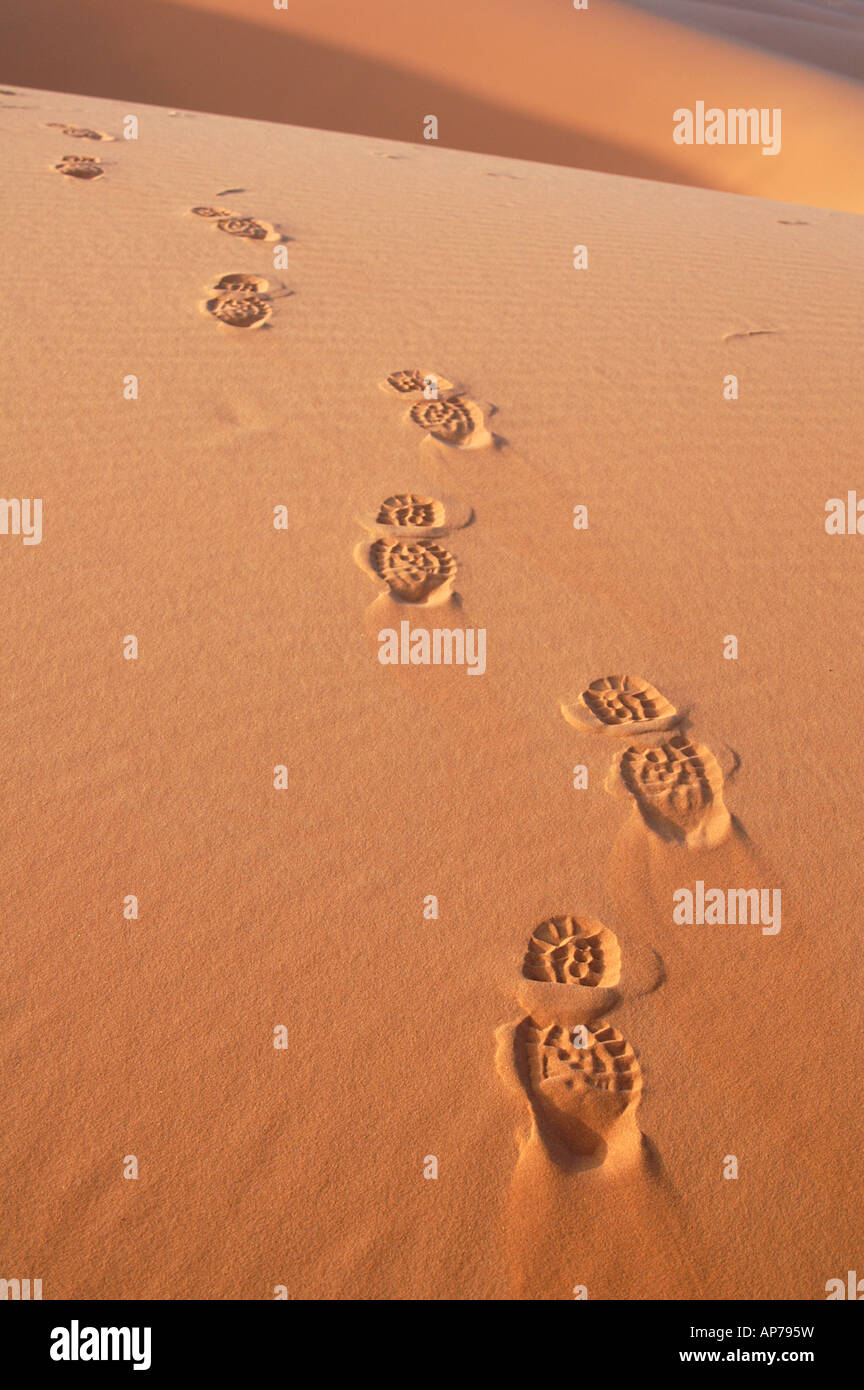 Human footsteps in the sand in the Sahara Desert Morocco Stock Photo ...