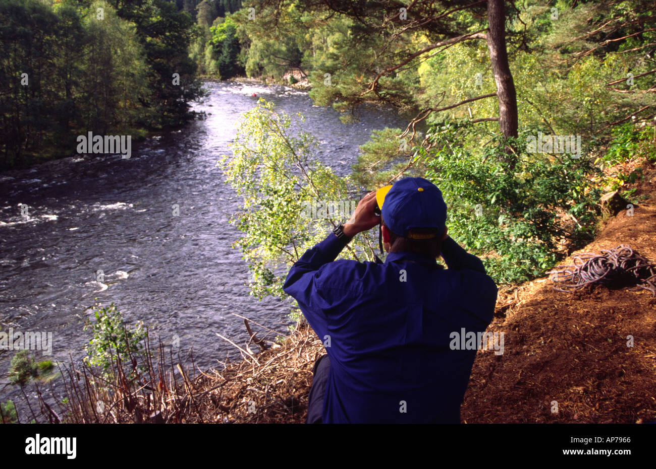 Ranger with blue uniform, blue and yellow baseball cap,looking ...