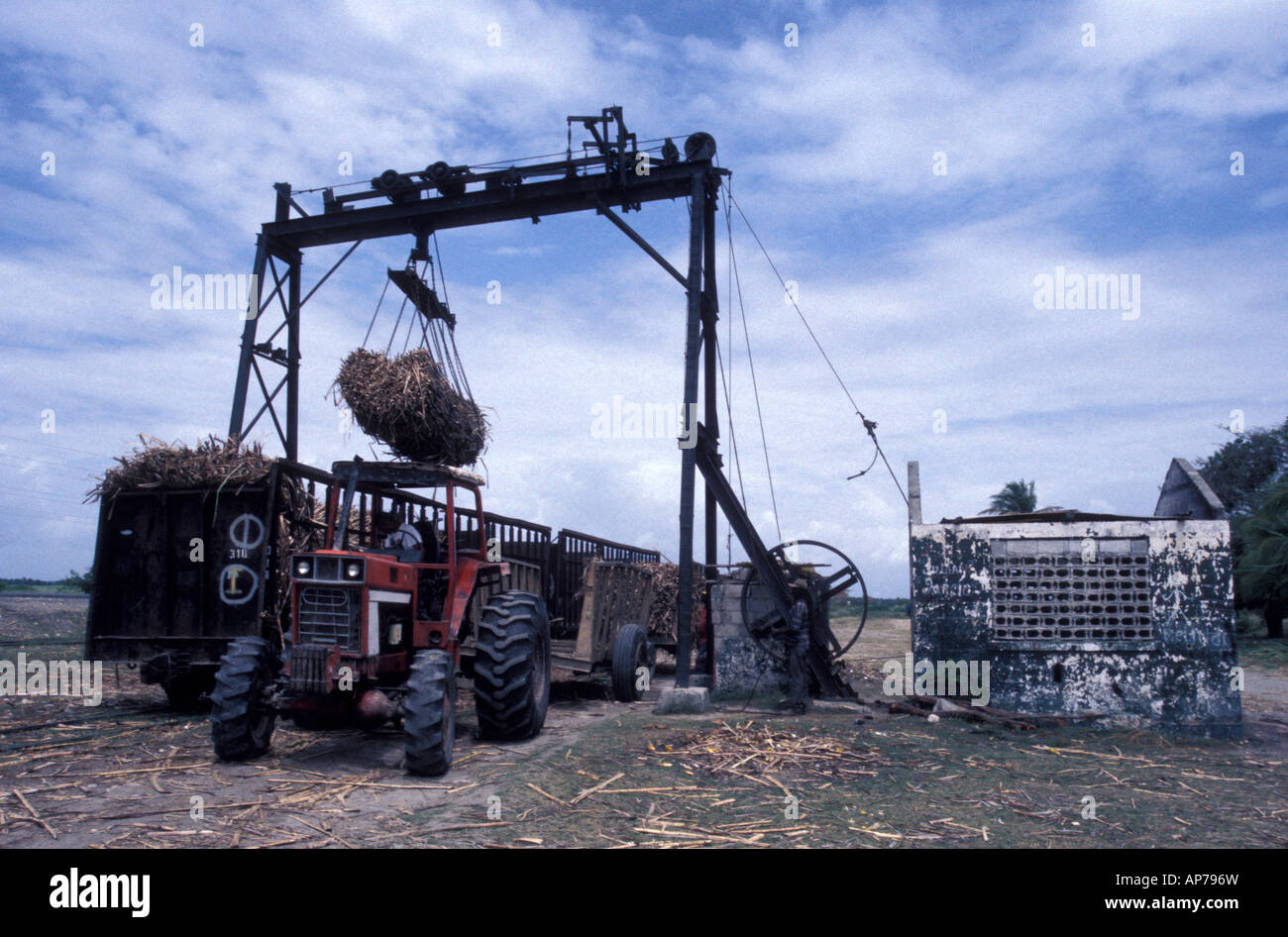 Overhead gantry crane loading sugarcane into wagons, Barahona ...
