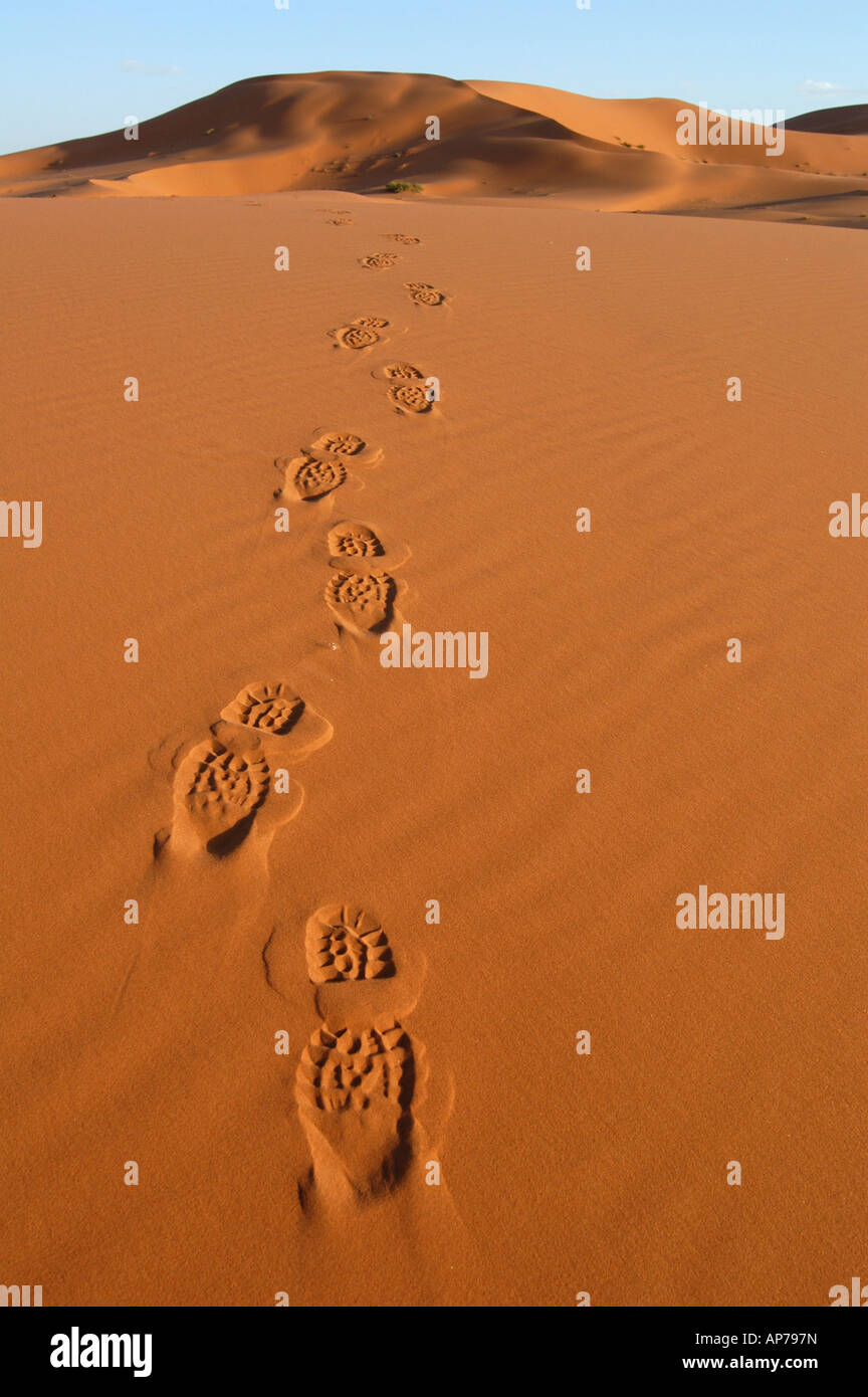 Human footsteps in the sand in the Sahara Desert, Morocco Stock Photo ...