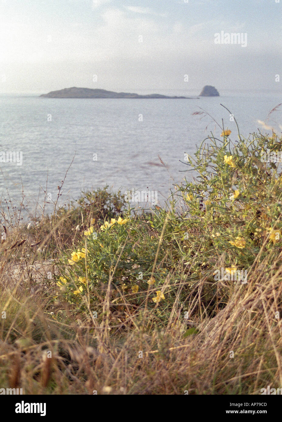 Galicia ons island hi-res stock photography and images - Alamy