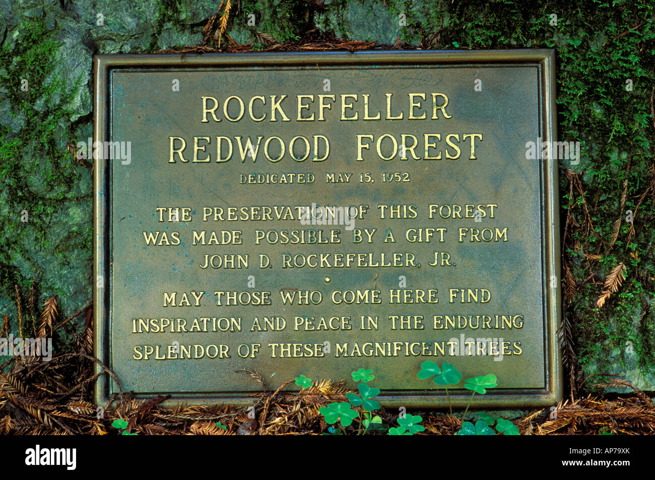Dedication plaque in the Rockefeller Grove Humboldt Redwoods State Park ...