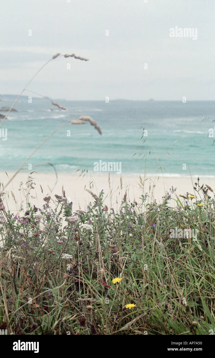 Burela galicia hi-res stock photography and images - Alamy