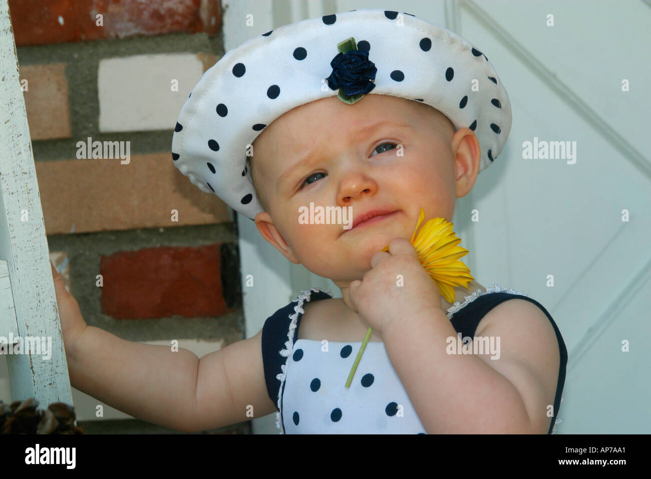 Prognosticator hi-res stock photography and images - Alamy