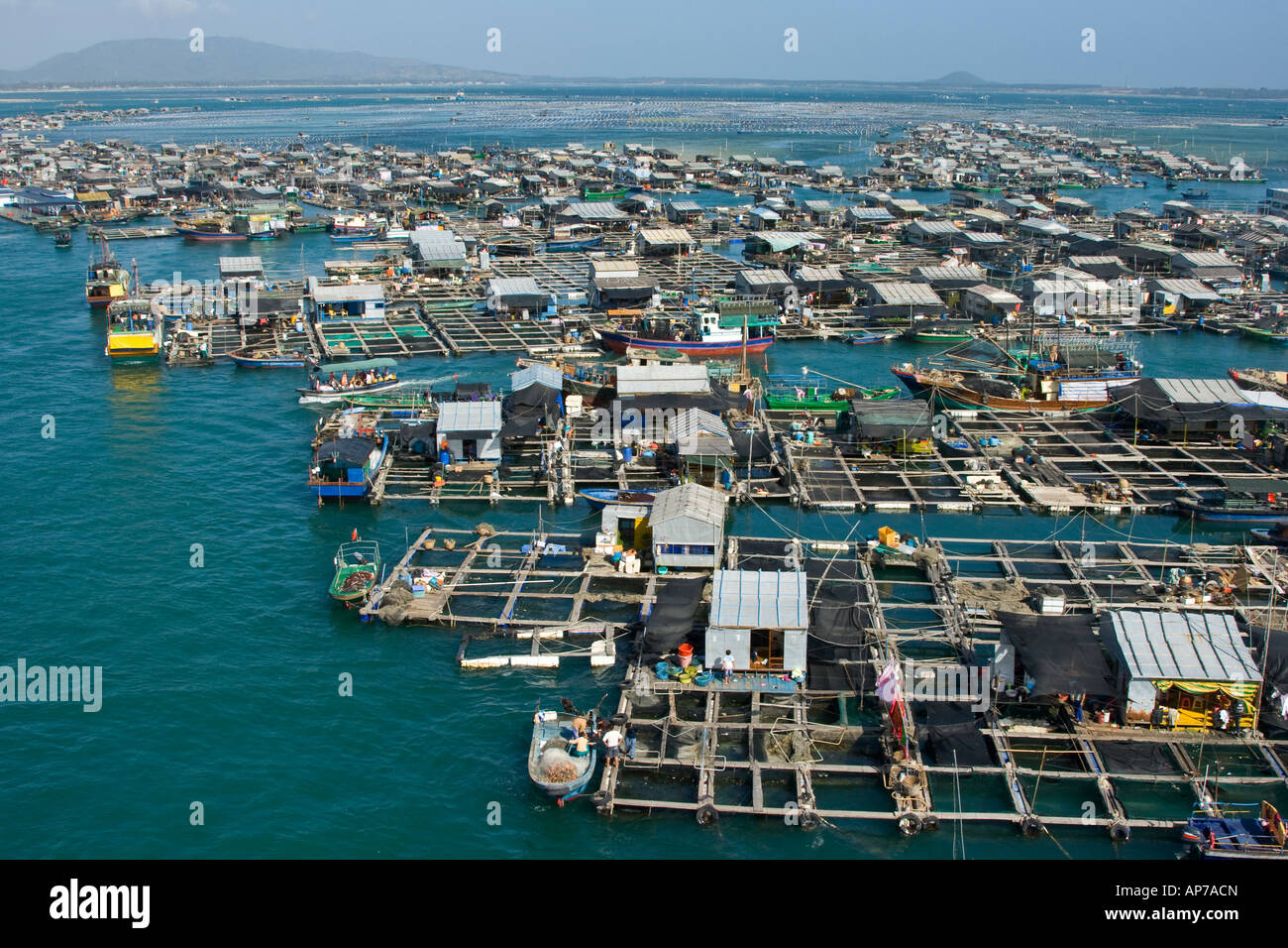 China Fish Farms
