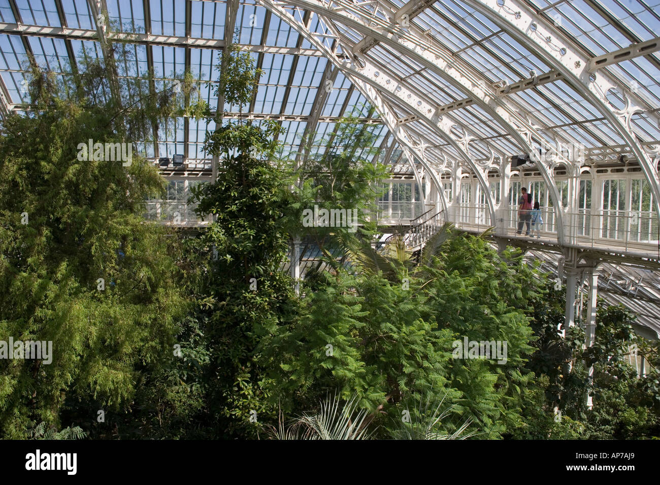 Temperate House Kew Gardens London Stock Photo - Alamy