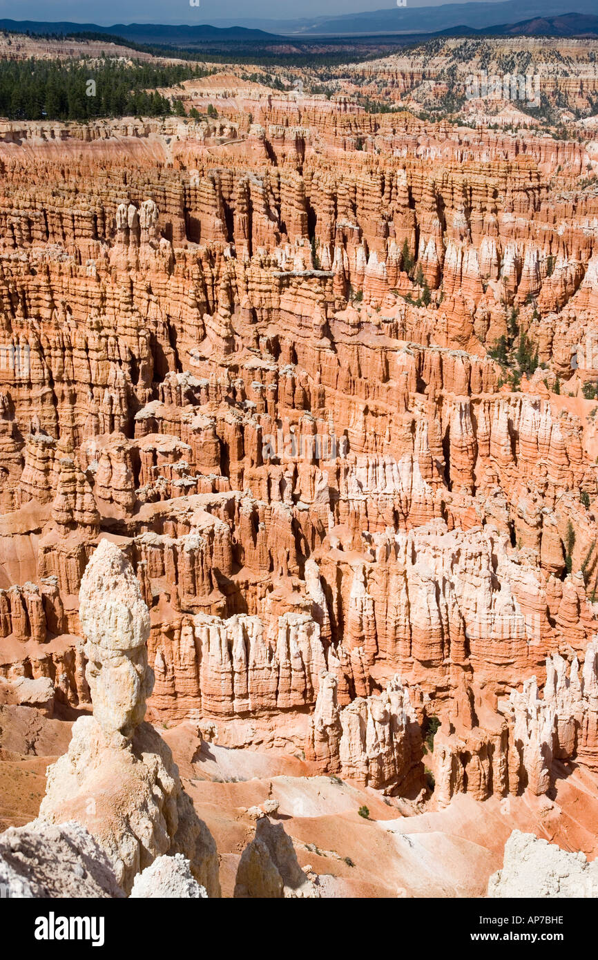 Sand Stone Formations Bryce Canyon National Park Utah USA Stock Photo ...