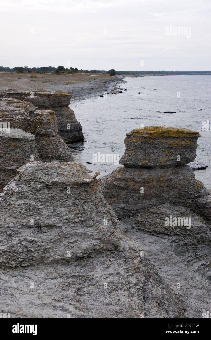 The layered eroded limestone pillars at Byerum Rauker Oland Sweden ...