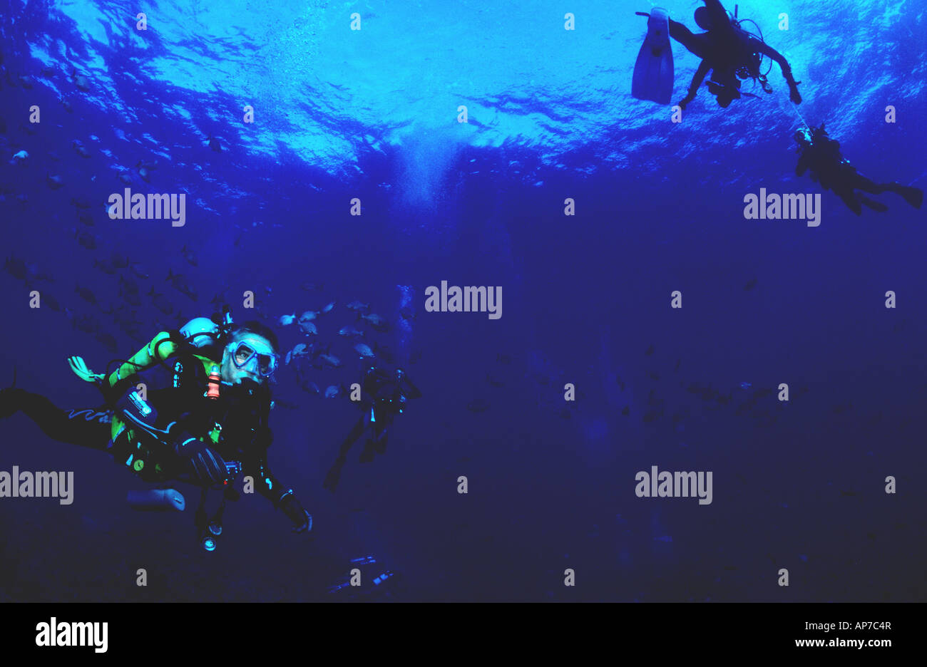 Scuba divers returning to the surface, after completing a dive off ...