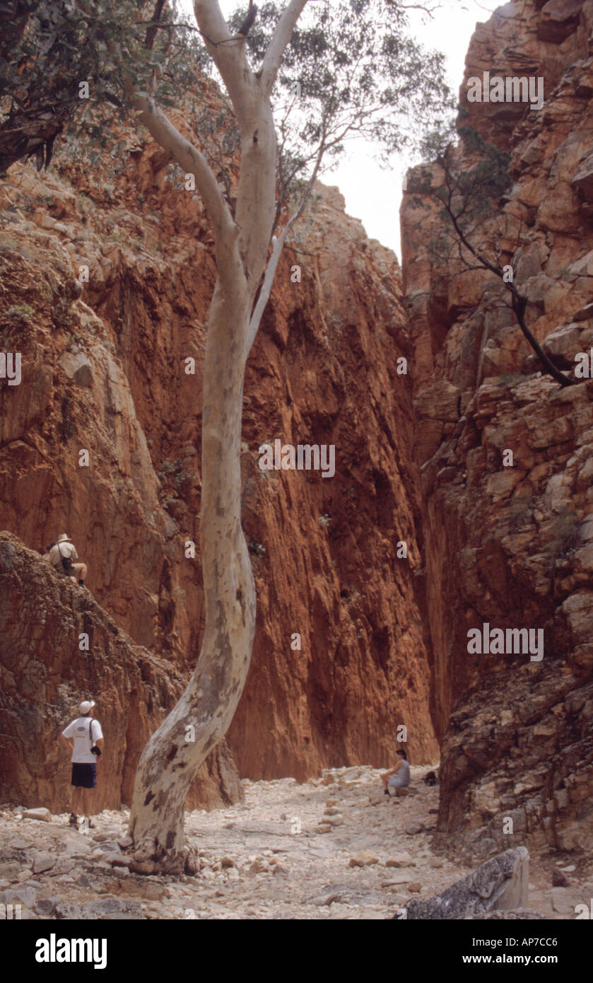 Standley Chasm West MacDonnell National Park Northern Territory ...