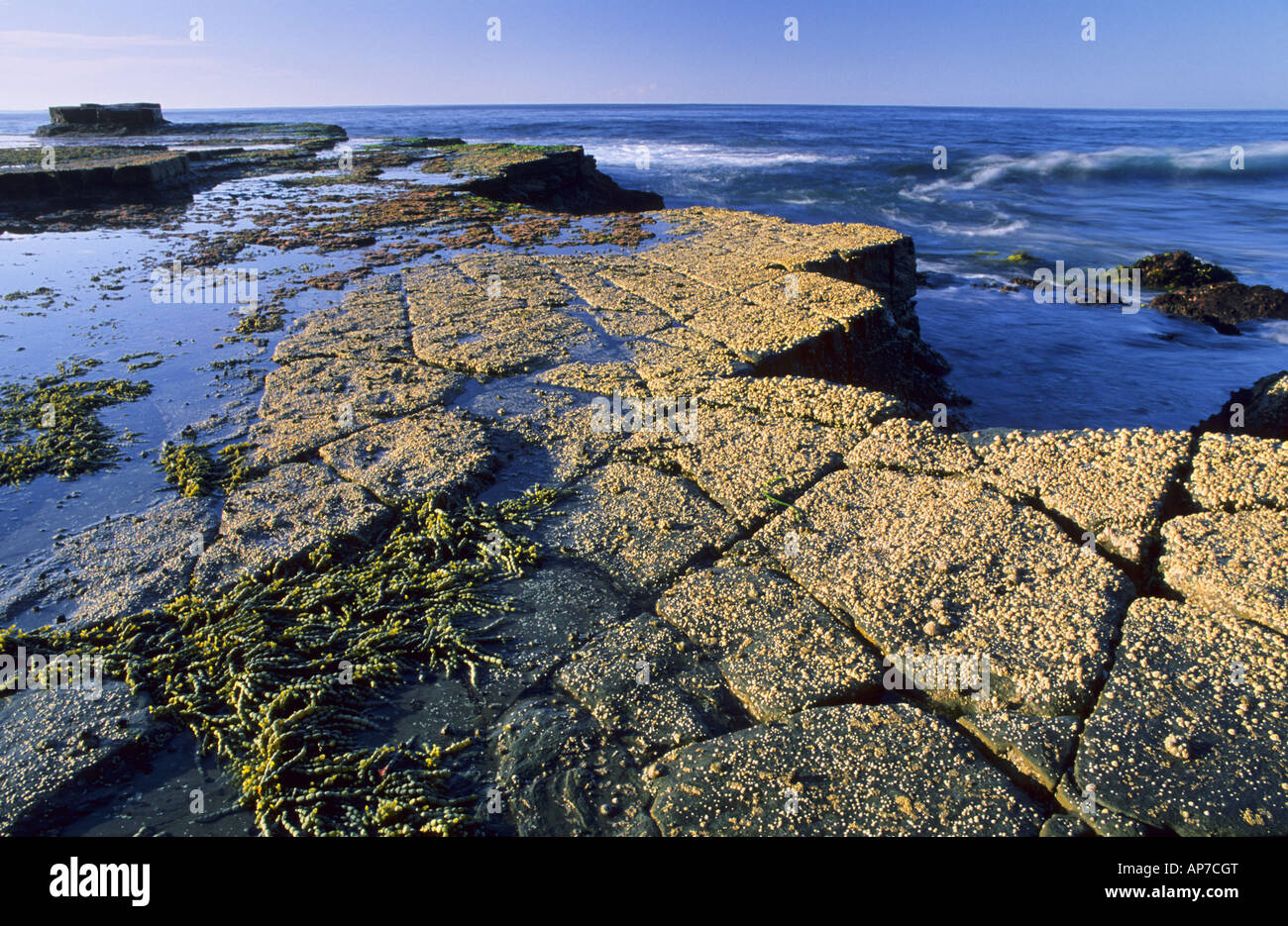 Eroded rocks Thelma Head Royal National Park Australia Stock Photo - Alamy