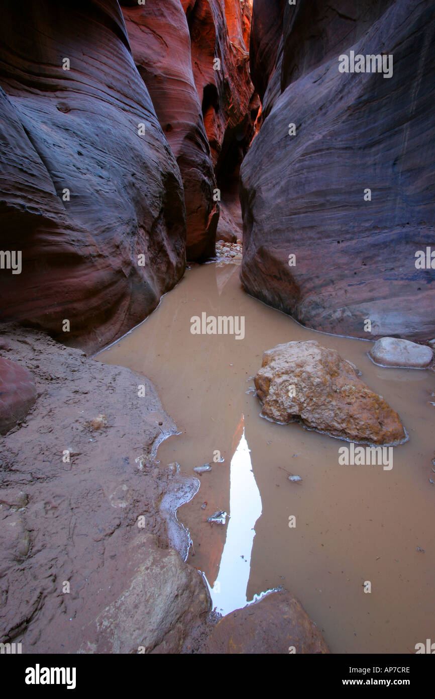 wire pass narrows, arizona Stock Photo - Alamy