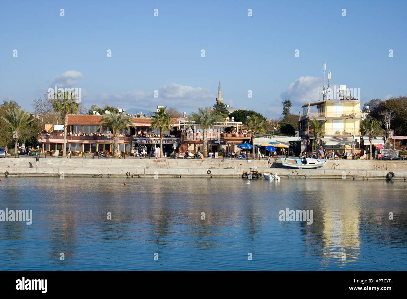 Side of tree hi-res stock photography and images - Alamy