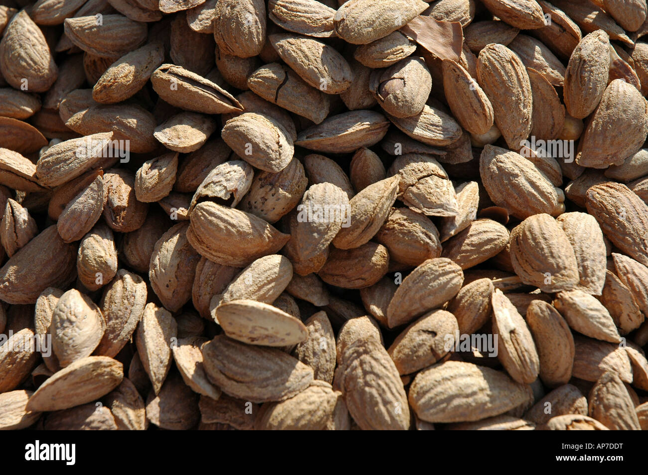 A pile of Whole Almond Stock Photo - Alamy
