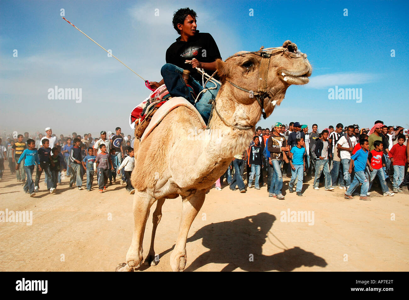 Racing camel and person hi-res stock photography and images - Alamy